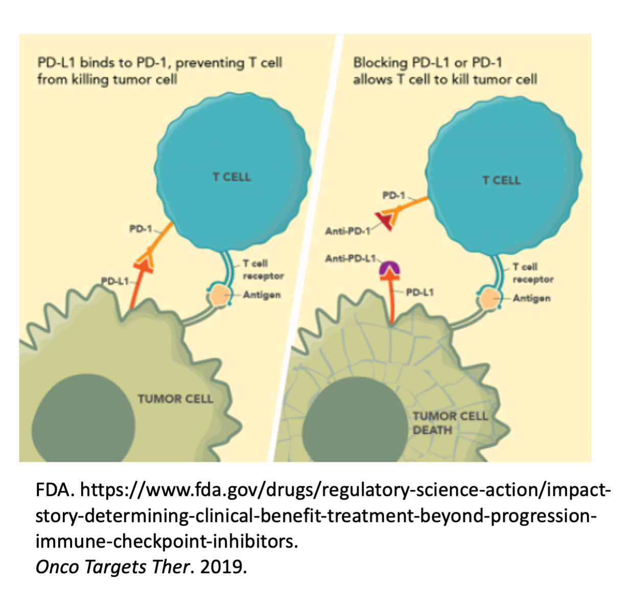 Immunocine | Why don’t Checkpoint Inhibitors Work More Often?