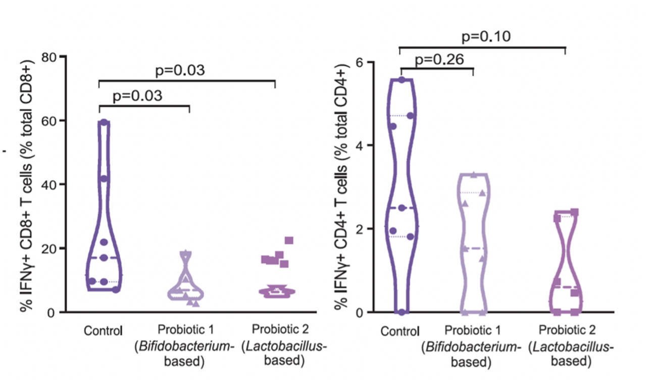Immunocine | Boosting Immunotherapy with Dietary Fiber